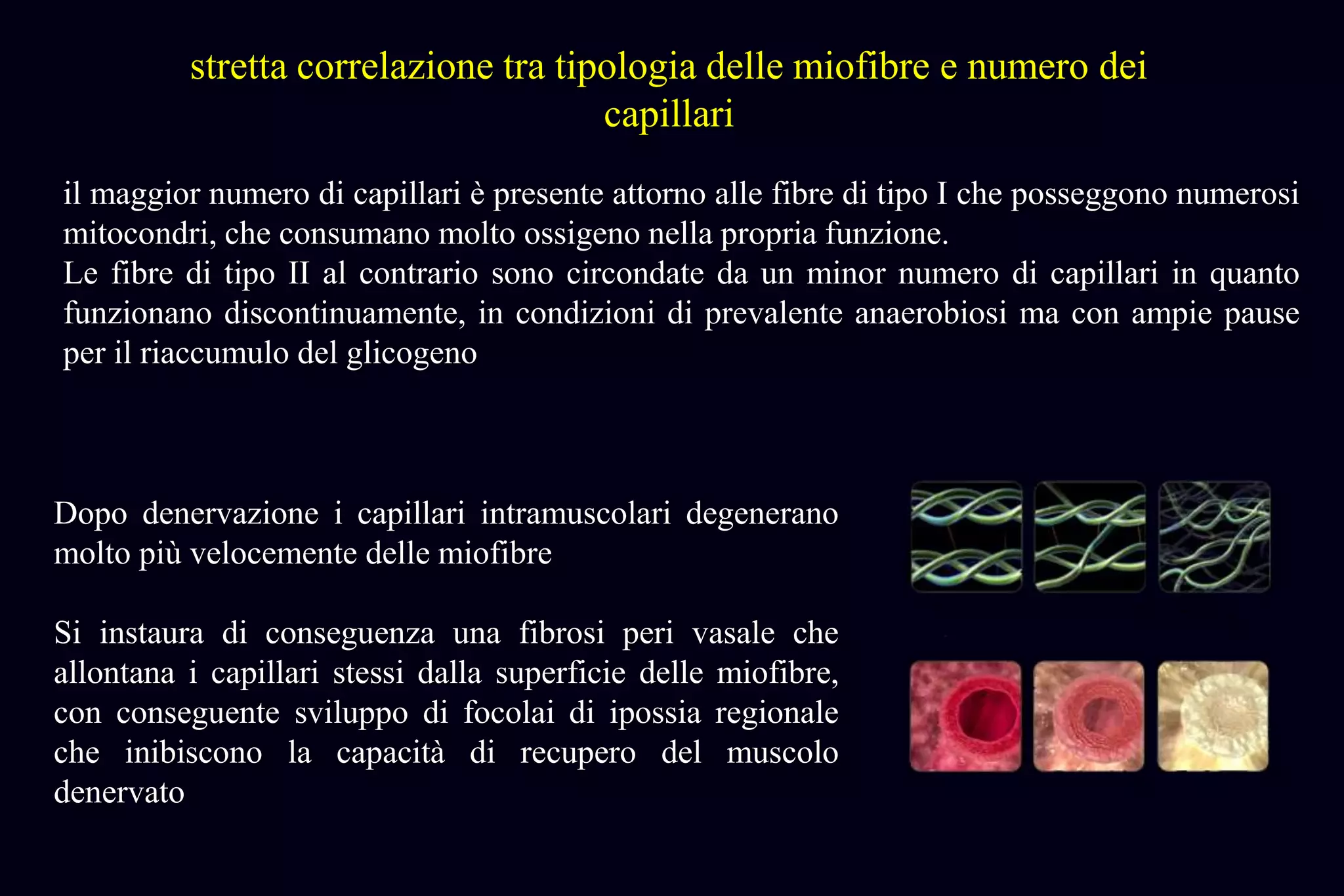 La modulazione del tono muscolare | PPTX