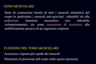 La modulazione del tono muscolare | PPTX