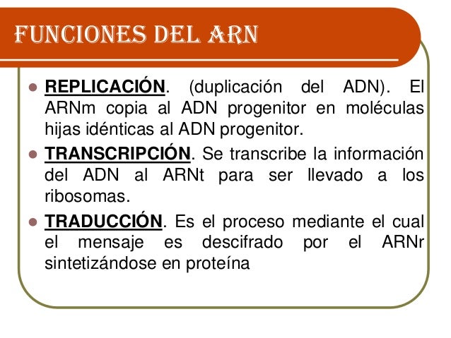 ARN, estructura, funciones, transcripción.