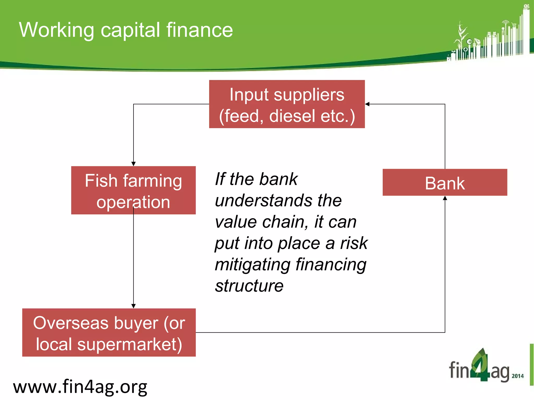 Financing fisheries by leveraging the value chain – some structures ...