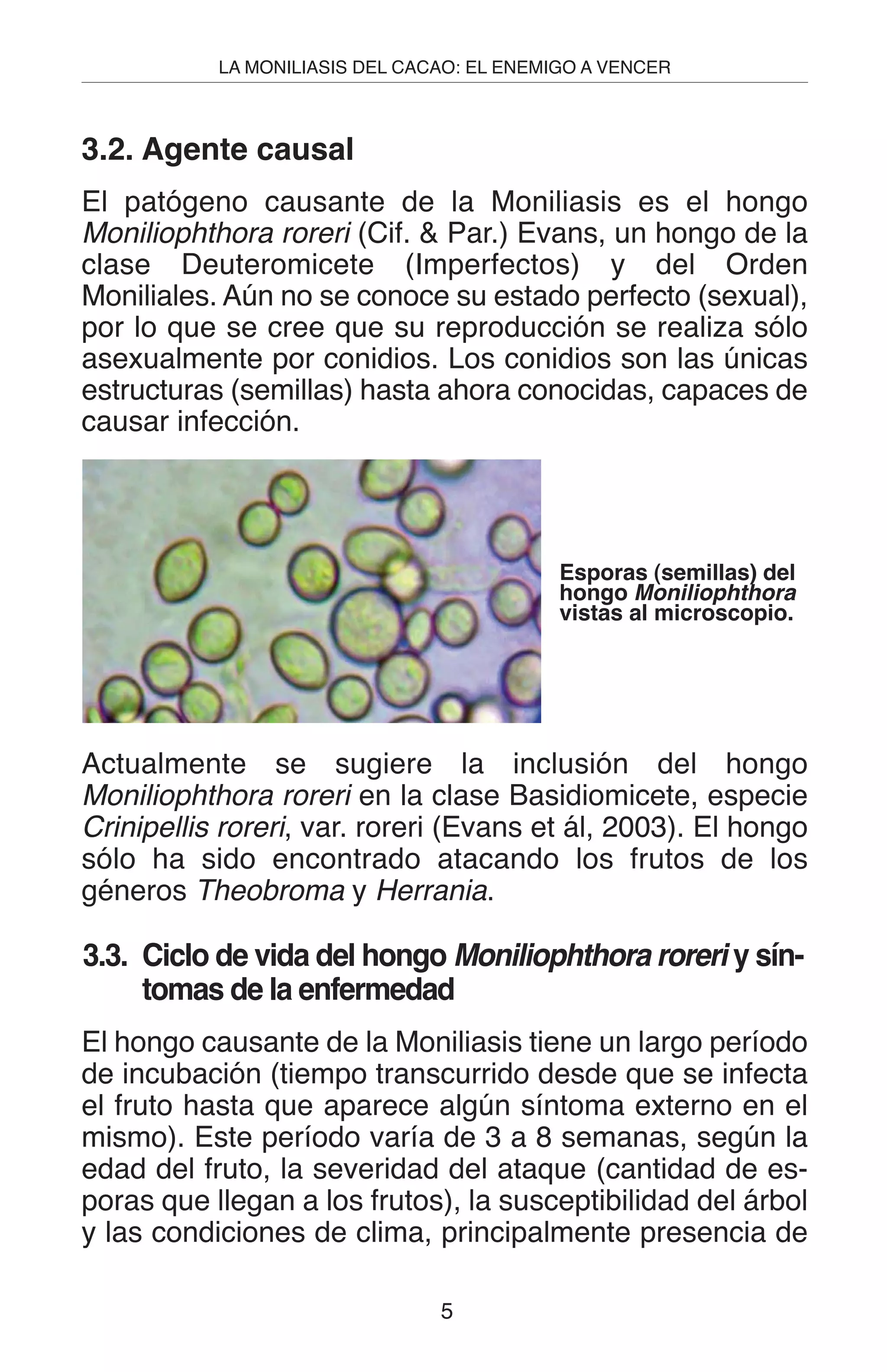La moniliasis del_cacao_el_enemigo_a_vencer | PDF | South America ...
