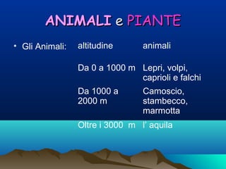 La montagna - didattica differenziata | PPT