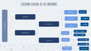 La morfología de la palabra | PPTX