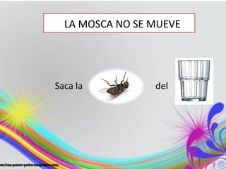 La mosca | PDF