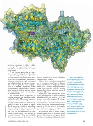 La Movilidad De Las Proteinas | PDF