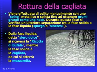 La Mozzarella | PPT