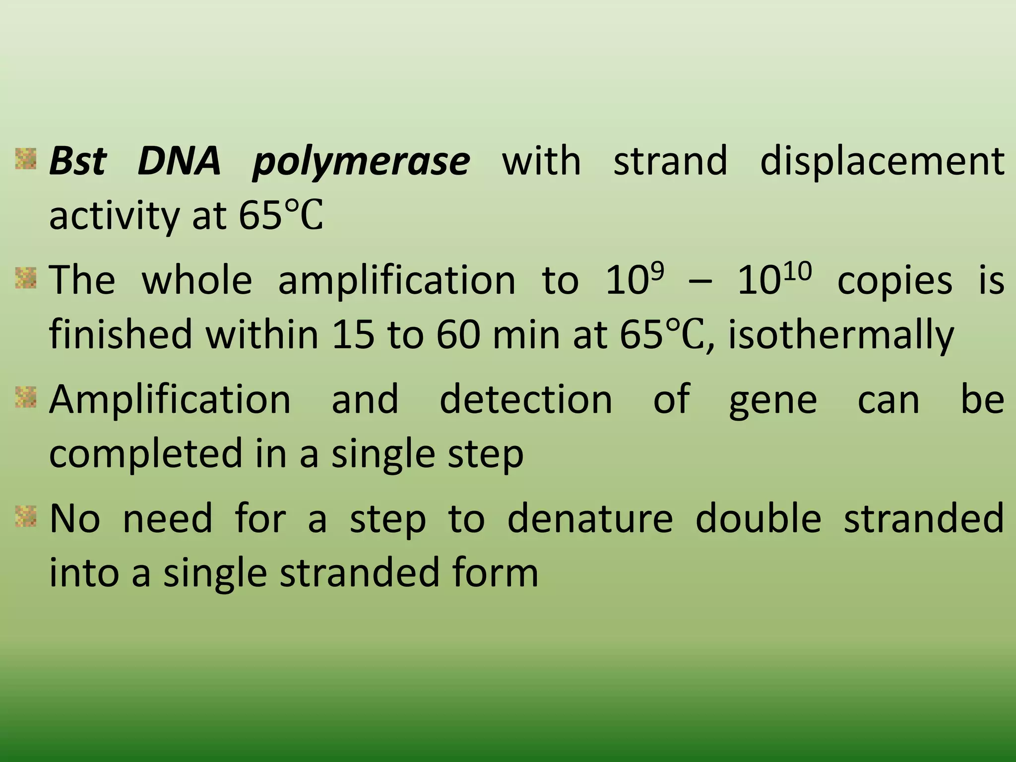 LAMP (Loop Mediated Isothermal Amplification) | PPTX
