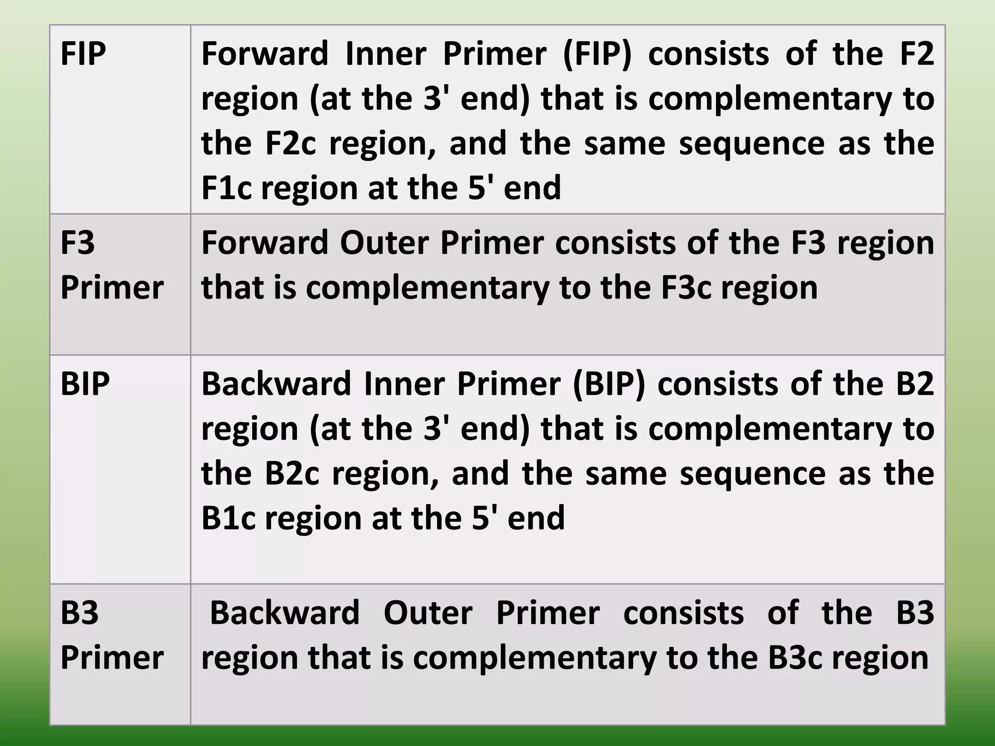 LAMP (Loop Mediated Isothermal Amplification) | PPTX