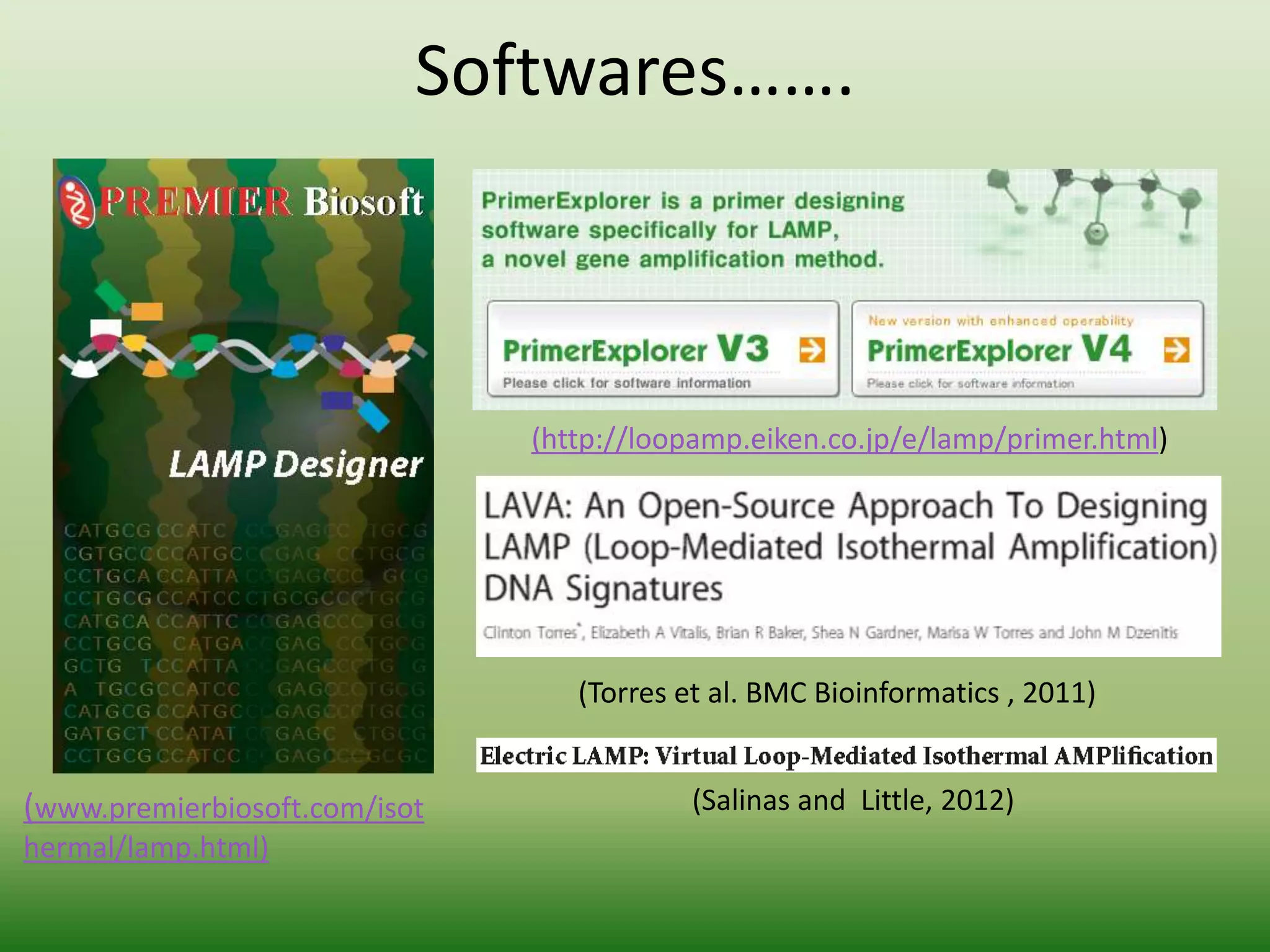 Lamp Loop Mediated Isothermal Amplification Ppt