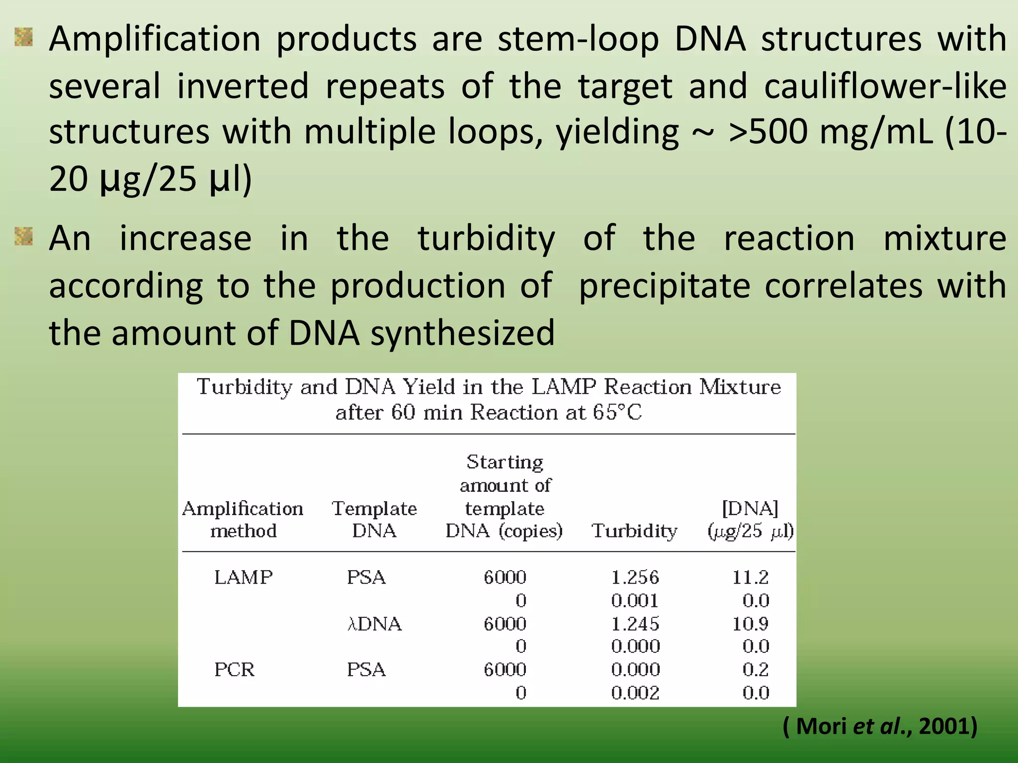 LAMP (Loop Mediated Isothermal Amplification) | PPTX