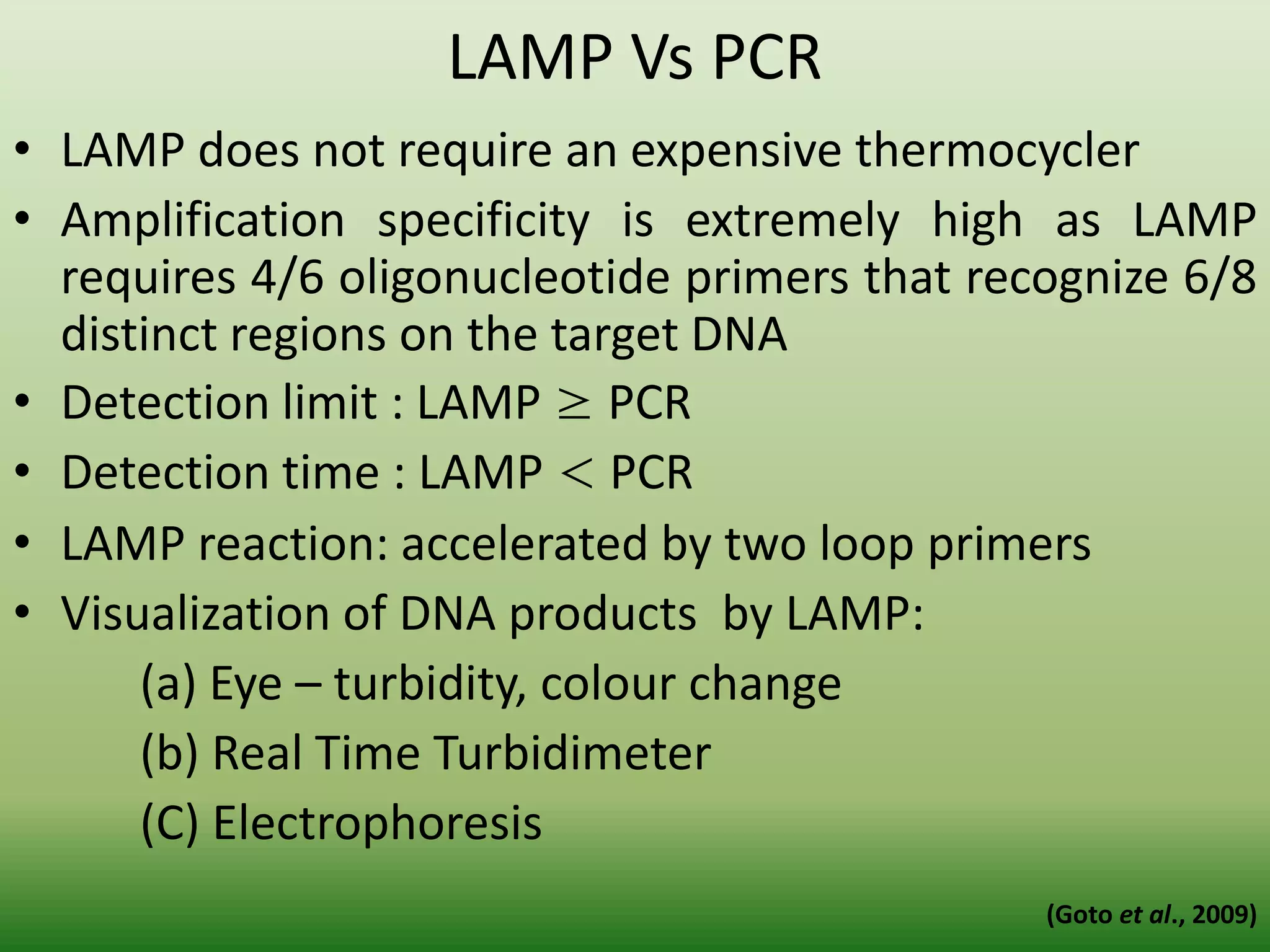 LAMP (Loop Mediated Isothermal Amplification) | PPTX