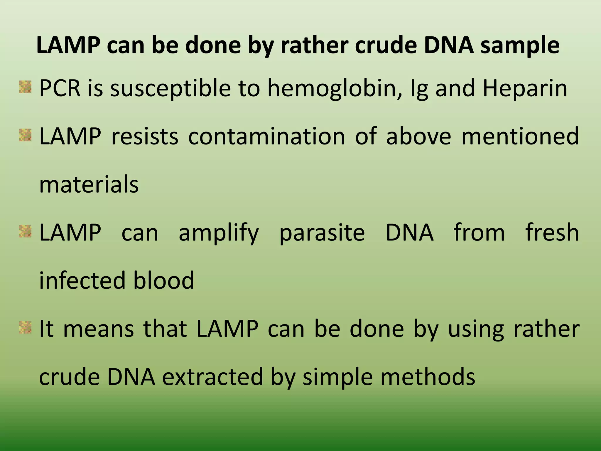 LAMP (Loop Mediated Isothermal Amplification) | PPTX