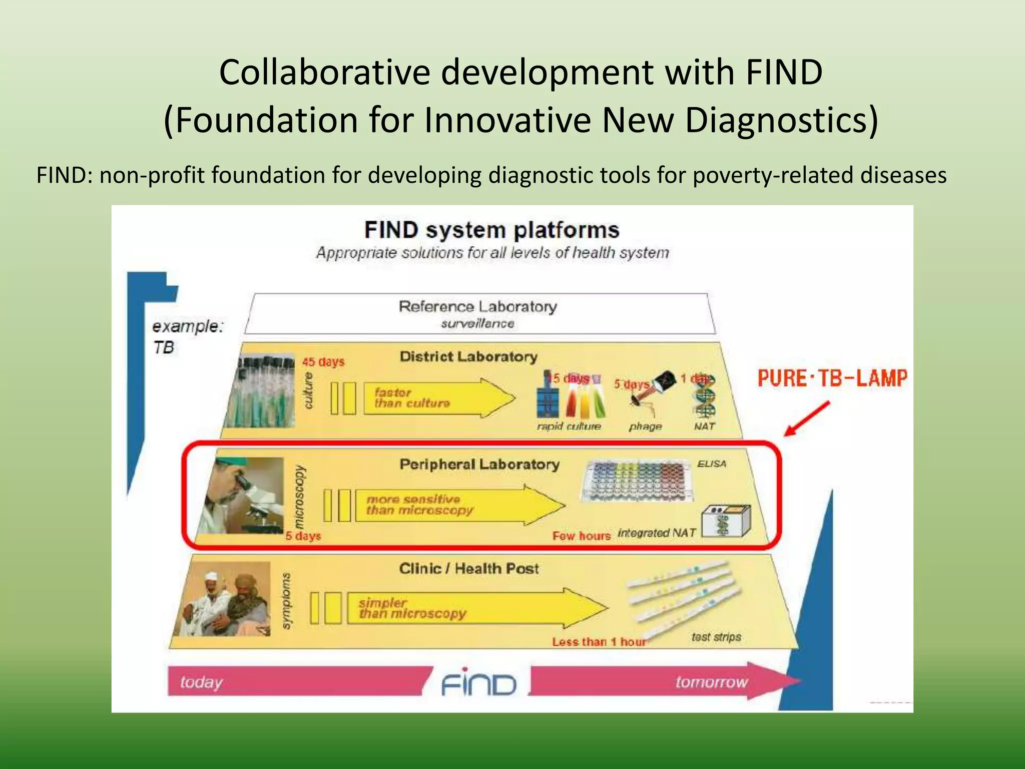LAMP (Loop Mediated Isothermal Amplification) | PPTX
