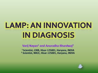 LAMP (Loop Mediated Isothermal Amplification) | PPTX