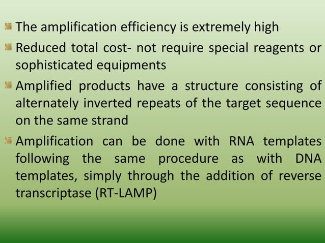 LAMP (Loop Mediated Isothermal Amplification) | PPTX | Infectious ...