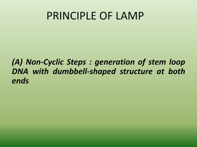 LAMP (Loop Mediated Isothermal Amplification) | PPTX | Infectious ...