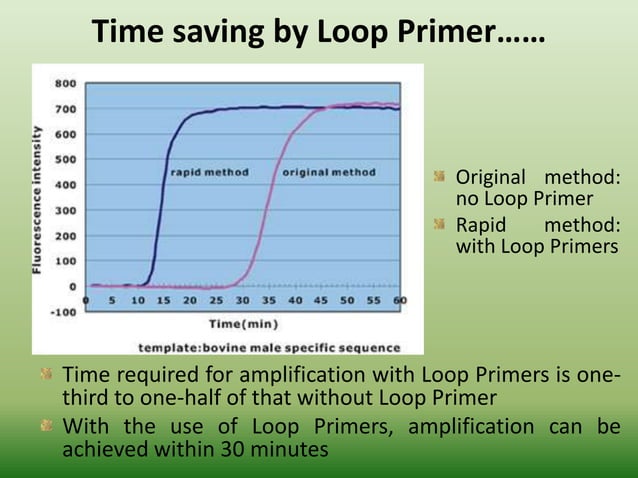 LAMP (Loop Mediated Isothermal Amplification) | PPTX | Infectious ...