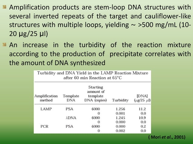 LAMP (Loop Mediated Isothermal Amplification) | PPTX | Infectious ...