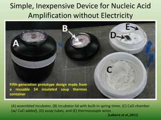 LAMP (Loop Mediated Isothermal Amplification) | PPTX