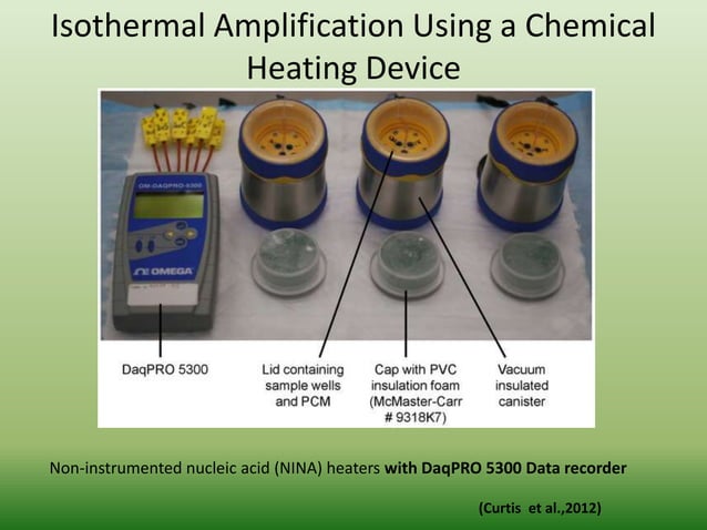 LAMP (Loop Mediated Isothermal Amplification) | PPTX | Infectious ...