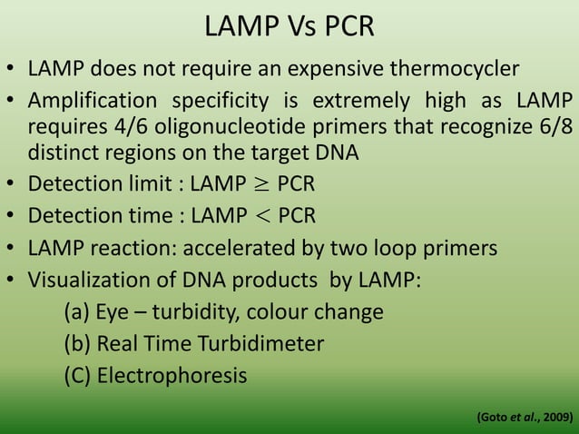 LAMP (Loop Mediated Isothermal Amplification) | PPTX | Infectious ...