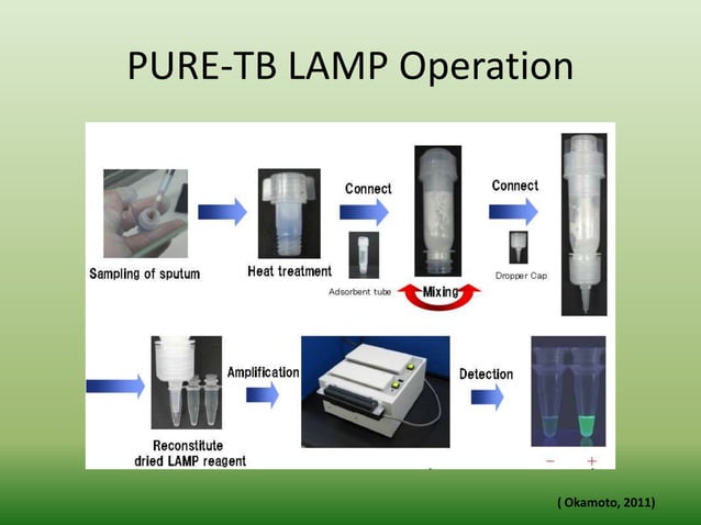 LAMP (Loop Mediated Isothermal Amplification) | PPTX | Infectious ...