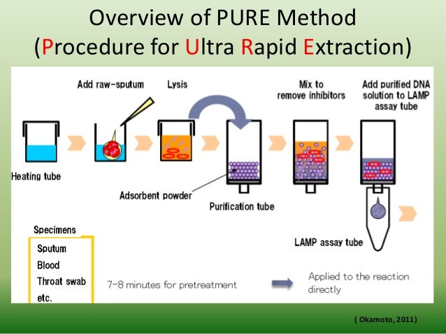 LAMP (Loop Mediated Isothermal Amplification)