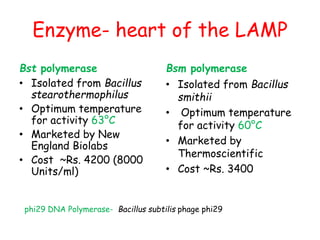 LAMP- Daignostic assay | PPTX | Chemistry | Science