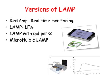 LAMP- Daignostic assay | PPTX