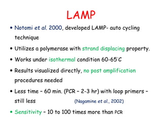 LAMP- Daignostic assay | PPTX | Chemistry | Science