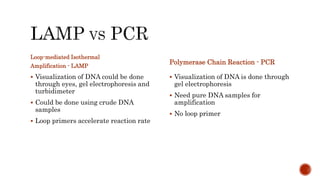 LAMP - Loop-mediated isothermal amplificaton of DNA | PPTX