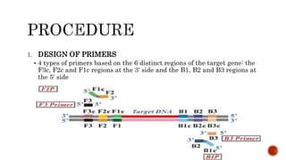 LAMP - Loop-mediated isothermal amplificaton of DNA | PPTX
