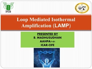 Loop Mediated Isothermal Amplification (LAMP) | PPTX