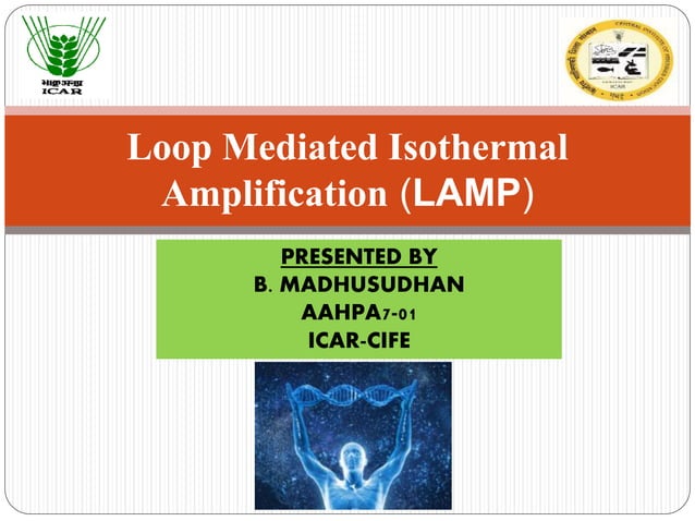 Loop Mediated Isothermal Amplification (LAMP) | PPTX | Chemistry | Science
