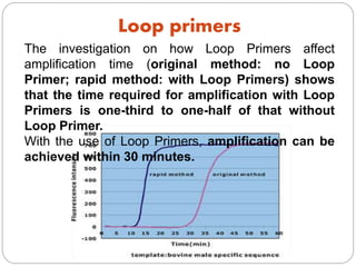 Loop Mediated Isothermal Amplification (LAMP) | PPTX