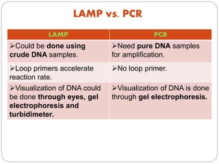 Loop Mediated Isothermal Amplification (LAMP) | PPTX