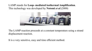 LAMP and NUCLEIC ACID BASED TECHNIQUES FOR PLANT DISEASE DETECTION.pptx