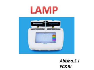 Loop Mediated Isothermal Amplification | PPTX