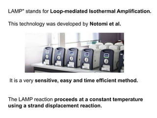 Loop Mediated Isothermal Amplification | PPTX