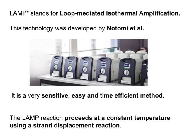 Loop Mediated Isothermal Amplification | PPTX | Chemistry | Science