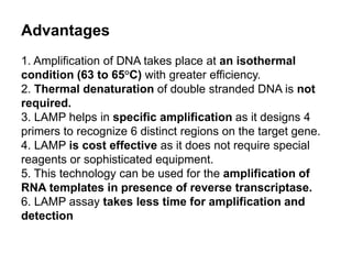 Loop Mediated Isothermal Amplification | PPTX