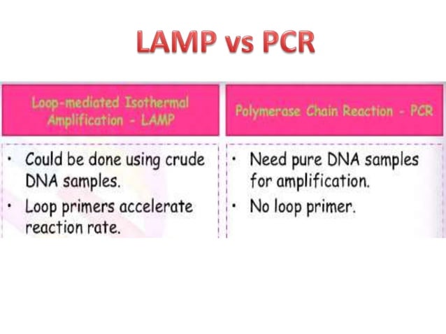 Loop Mediated Isothermal Amplification | PPTX | Chemistry | Science