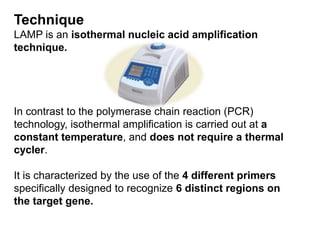 Loop Mediated Isothermal Amplification | PPTX