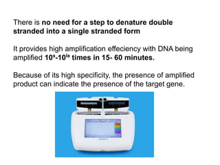 Loop Mediated Isothermal Amplification | PPTX | Chemistry | Science