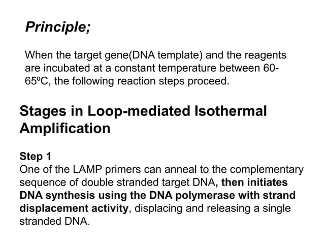 Loop Mediated Isothermal Amplification | PPTX | Chemistry | Science