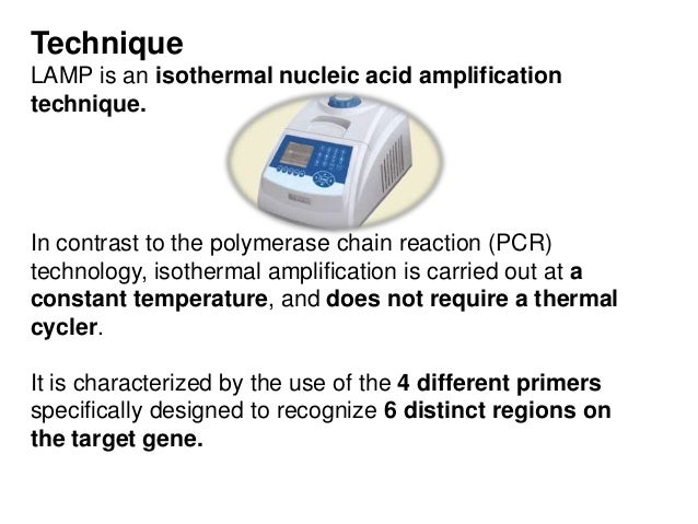Loop Mediated Isothermal Amplification