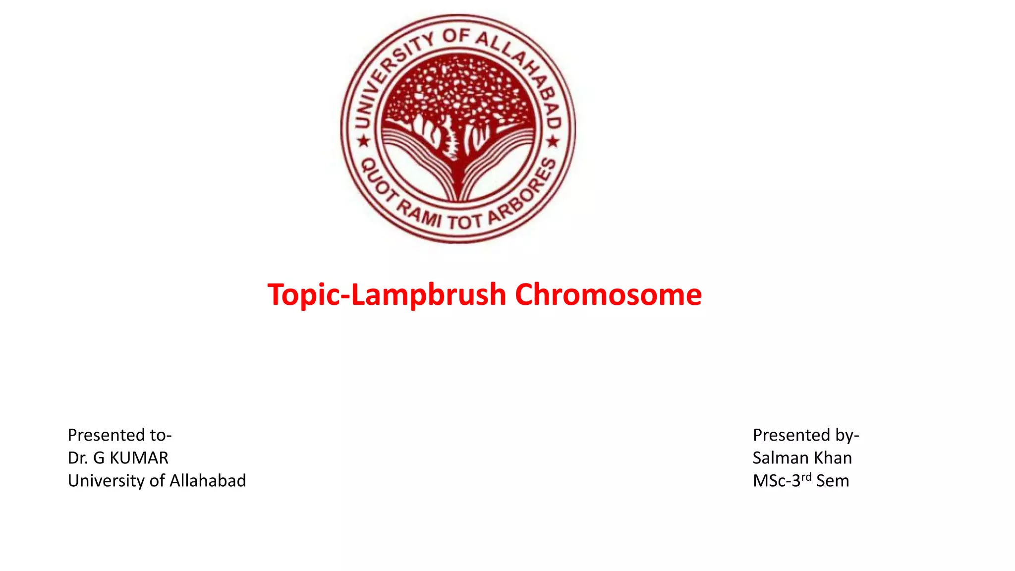 Lampbrush chromosome (Giant Chromosome) | PPTX