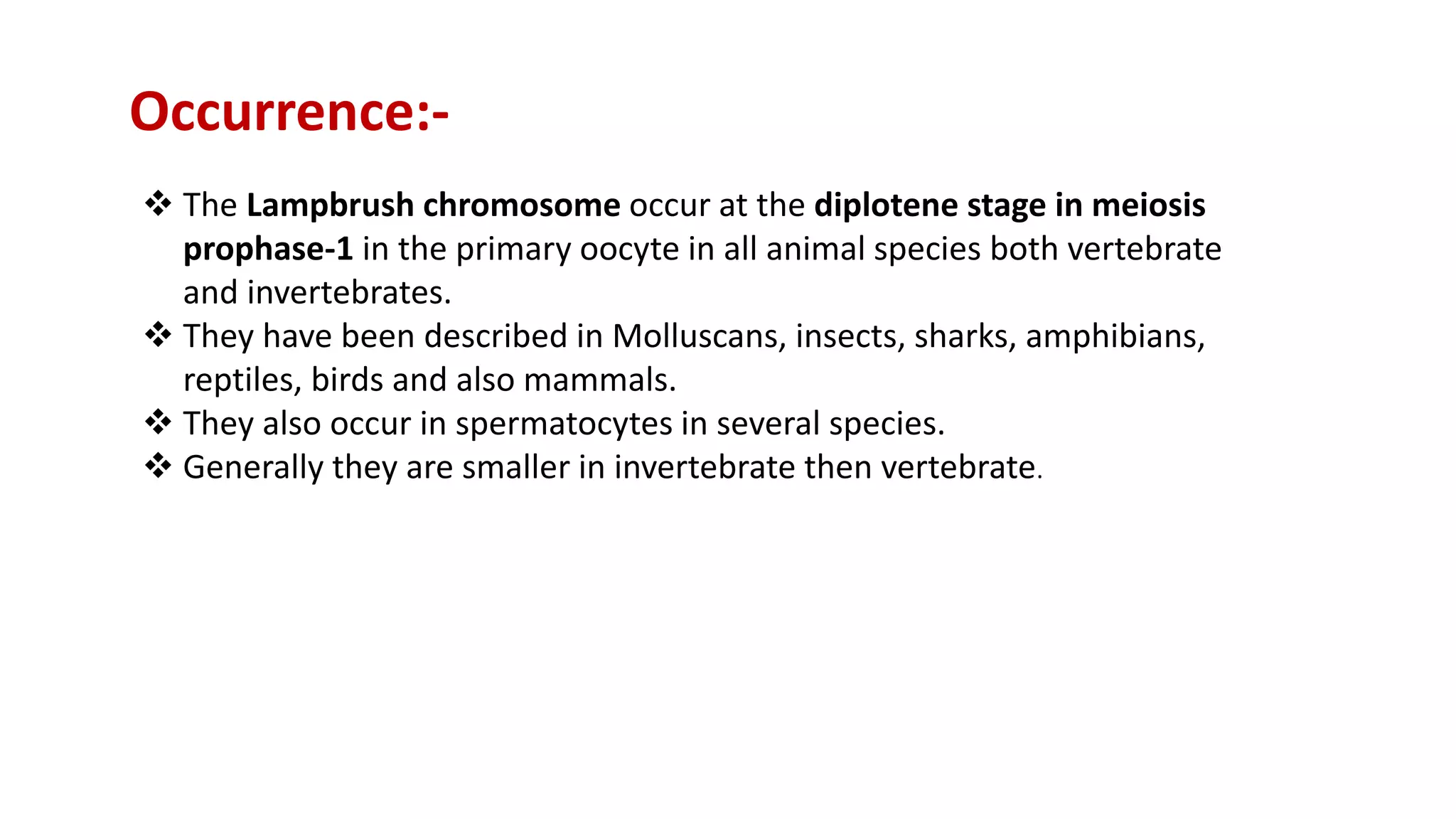 Lampbrush chromosome (Giant Chromosome) | PPTX