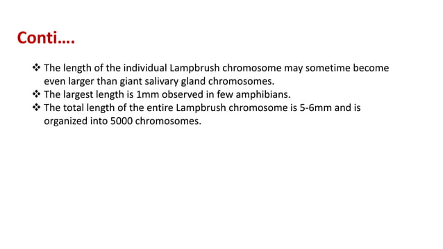 Lampbrush chromosome (Giant Chromosome) | PPTX | Genetics | Science