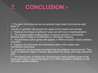 Lampbrush and polytene chromosome | PPTX